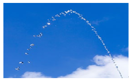 乳幼児の採尿法（Quick-Wee法）: 斎賀医院壁新聞